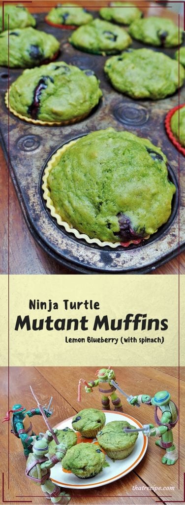 Perfect for Ninjas in Training: Mutagen Lemon Blueberry Muffins