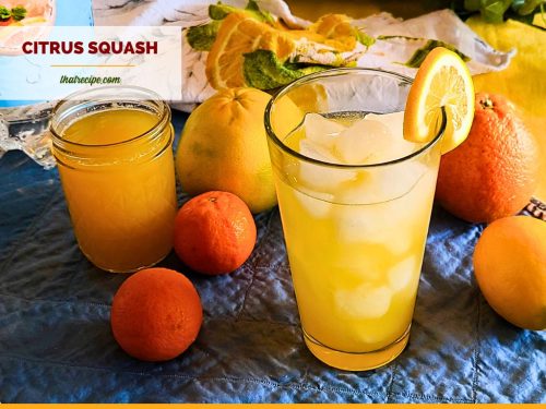 No Sugar Added Citrus Squash Refreshing Summer Mocktail